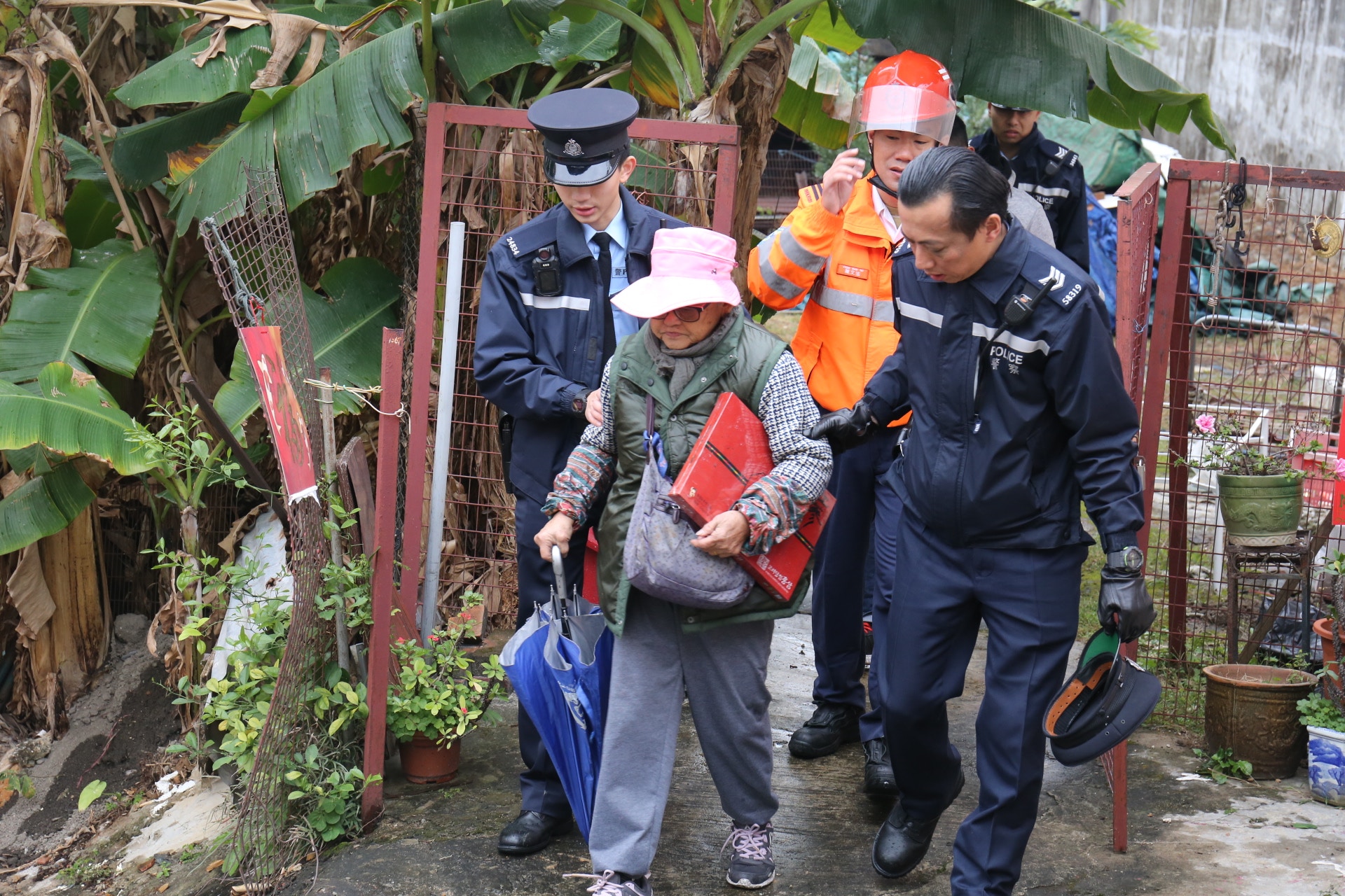 【人参不死】元朗木屋火毁婆婆家园 火场人参完好 铁罐钞票熏黑