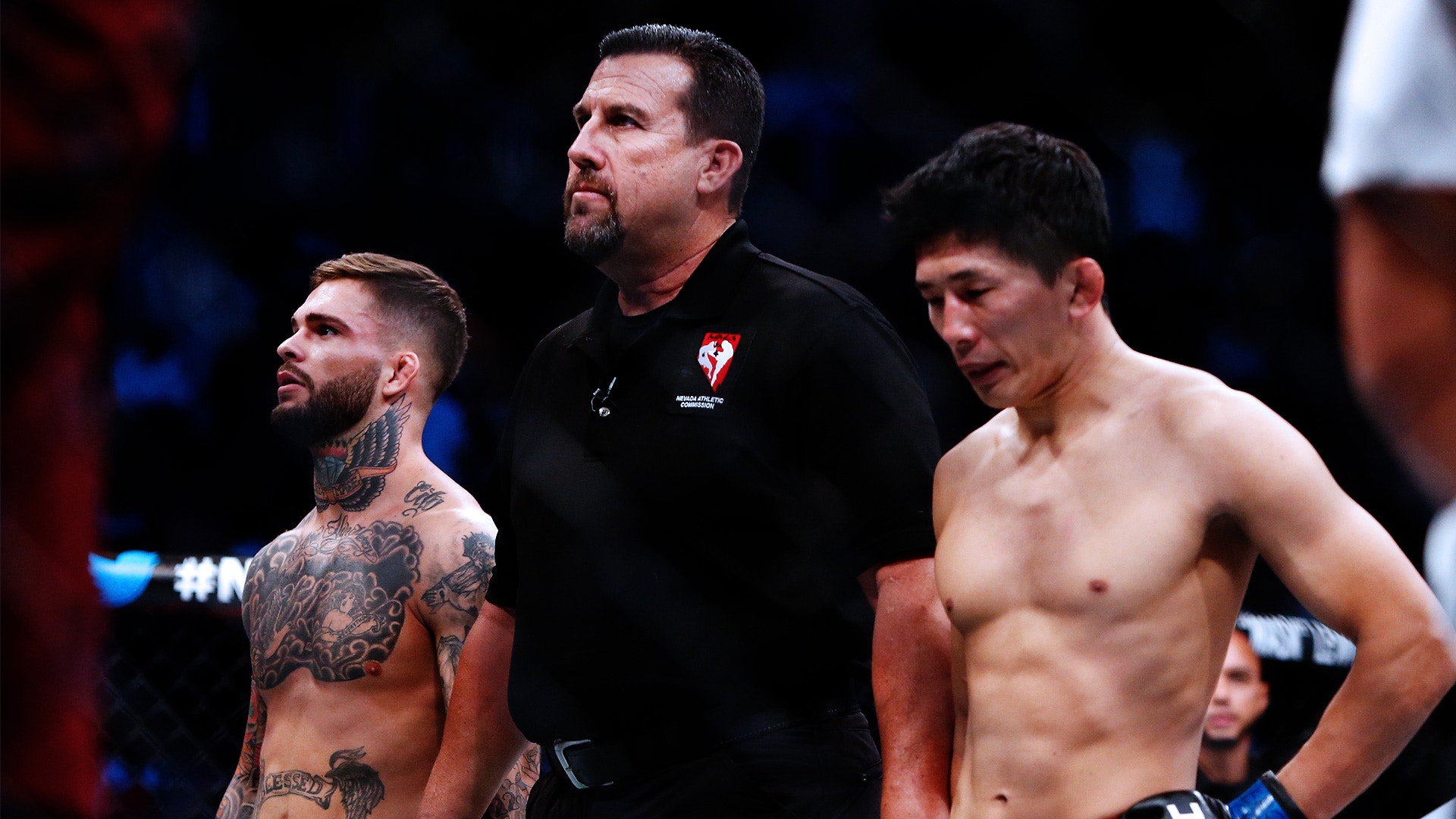 了解新的MMA比賽統一規則