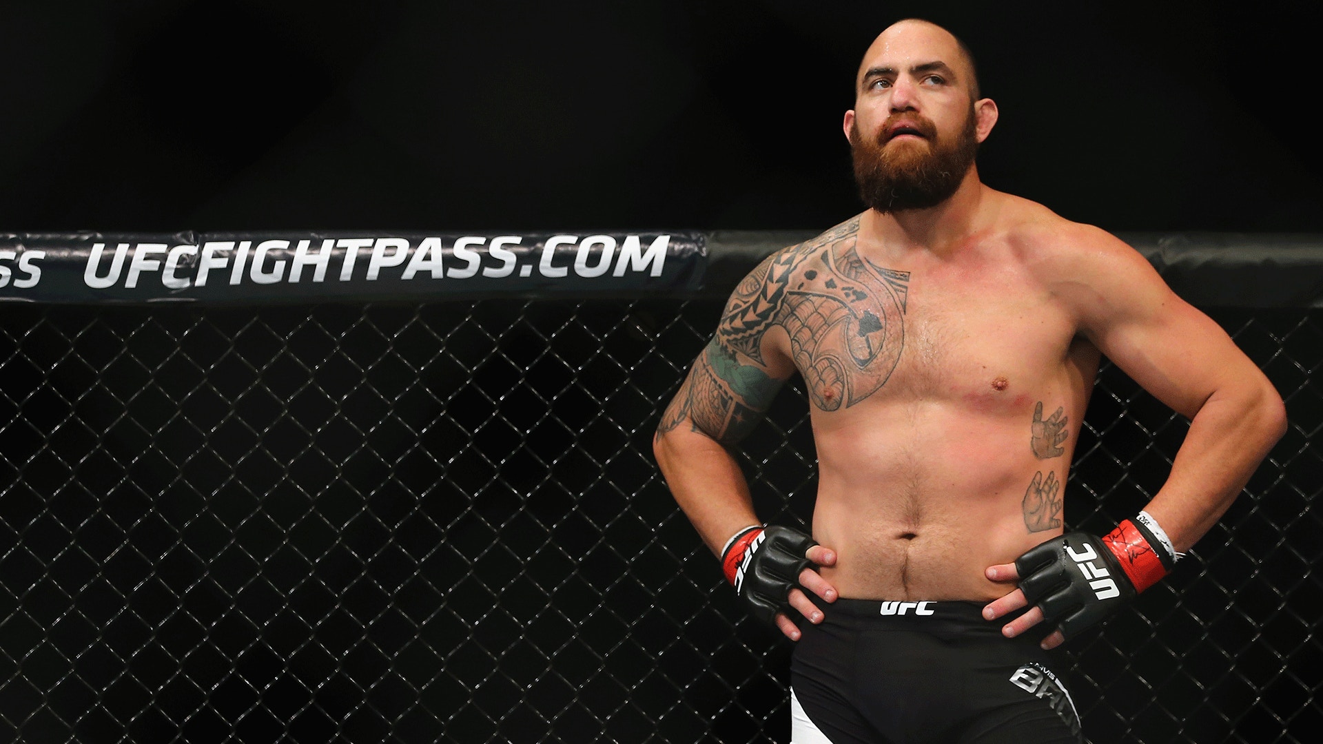 激戰連場 UFC Fight Night: Lewis vs. Browne賽事介紹