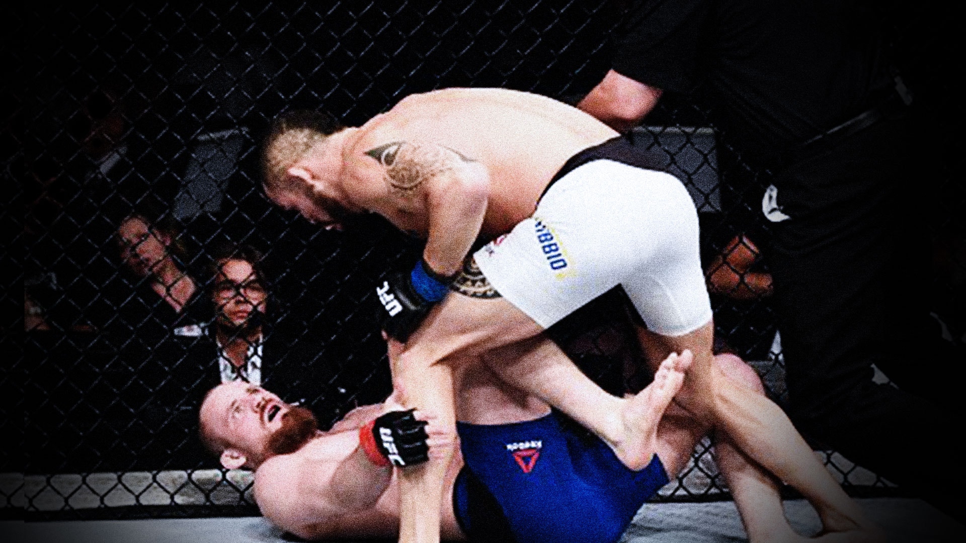UFC Fight Night: Nelson vs Ponzinibbio 賽後報告