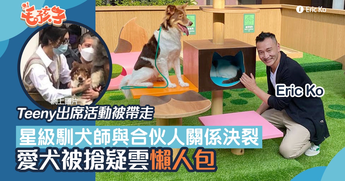 星級馴犬師Eric Ko與合伙人關係決裂 一文看清愛犬Teeny被搶疑雲
