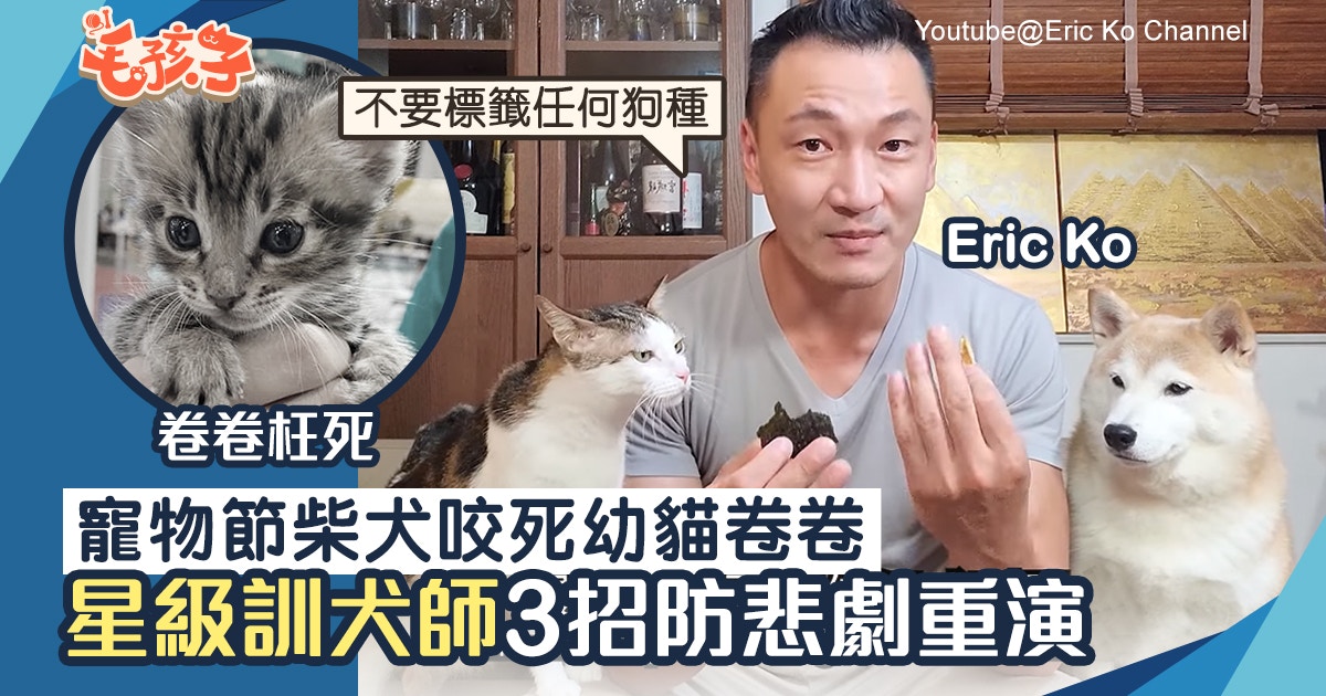 寵物節唐貓被柴犬咬 訓犬師Eric Ko三招防悲劇 僅拖繩不夠安全