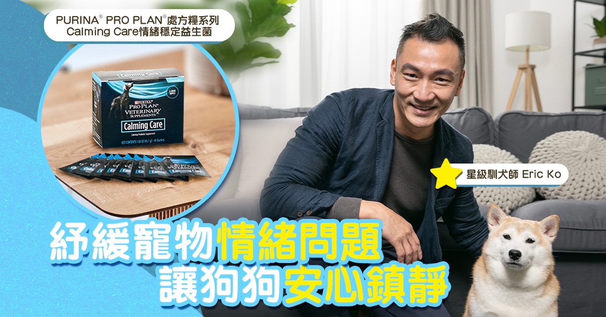 Eric Ko教你兩招解決狗狗分離焦慮 行為治療與補充益生菌穩定情緒