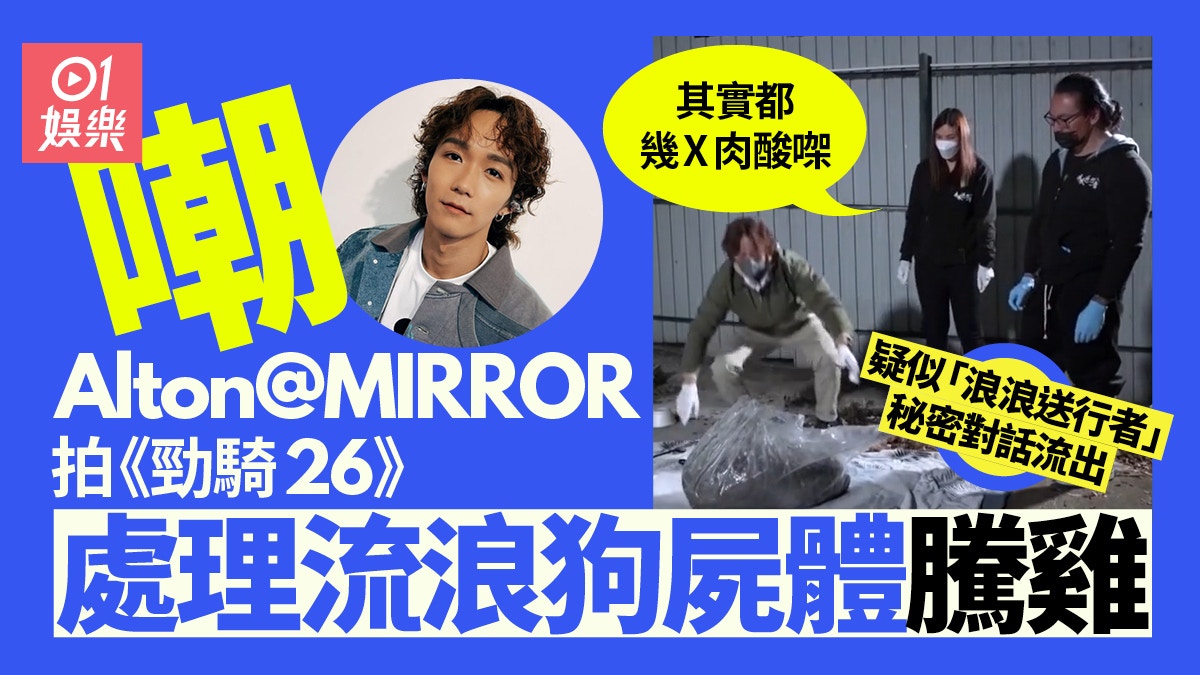流浪動物團體秘密對話疑爆出 Alton@MIRROR處理動物屍體慘被嘲諷