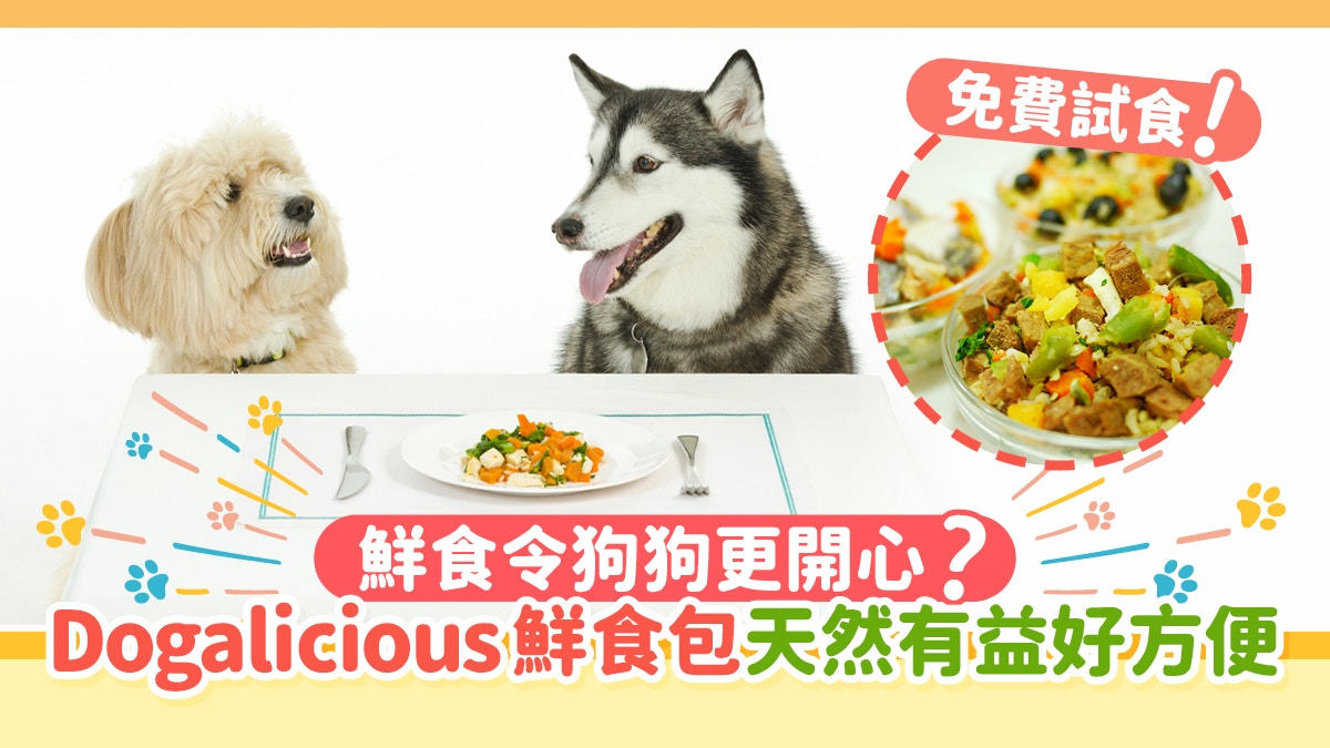 免費試食｜鮮食令狗狗更開心？Dogalicious鮮食包天然有益好方便