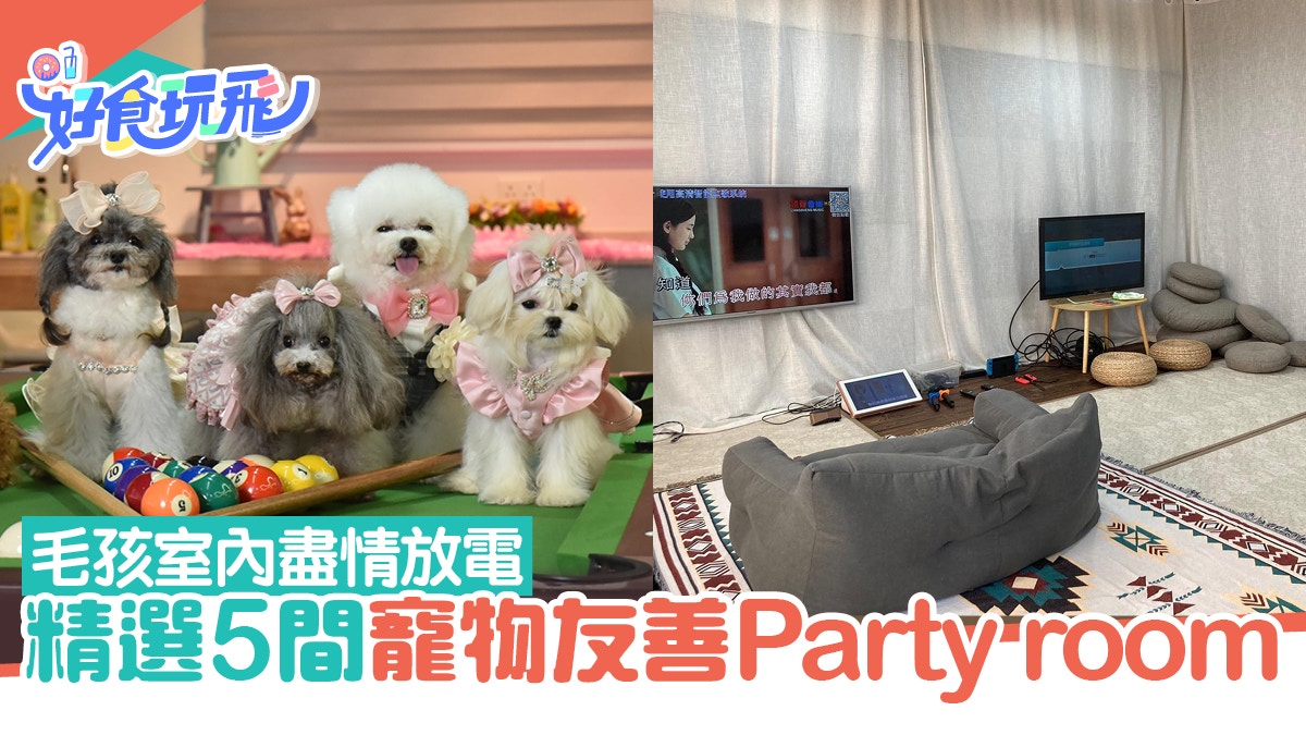 周末好去處｜精選5間寵物友善Party room附地址 毛孩放電歎冷氣
