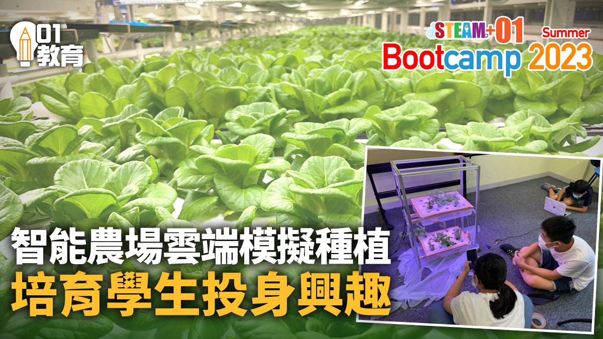 STEAM+01 BootCamp｜智能農場減人手 學生雲端模擬種植提升興趣