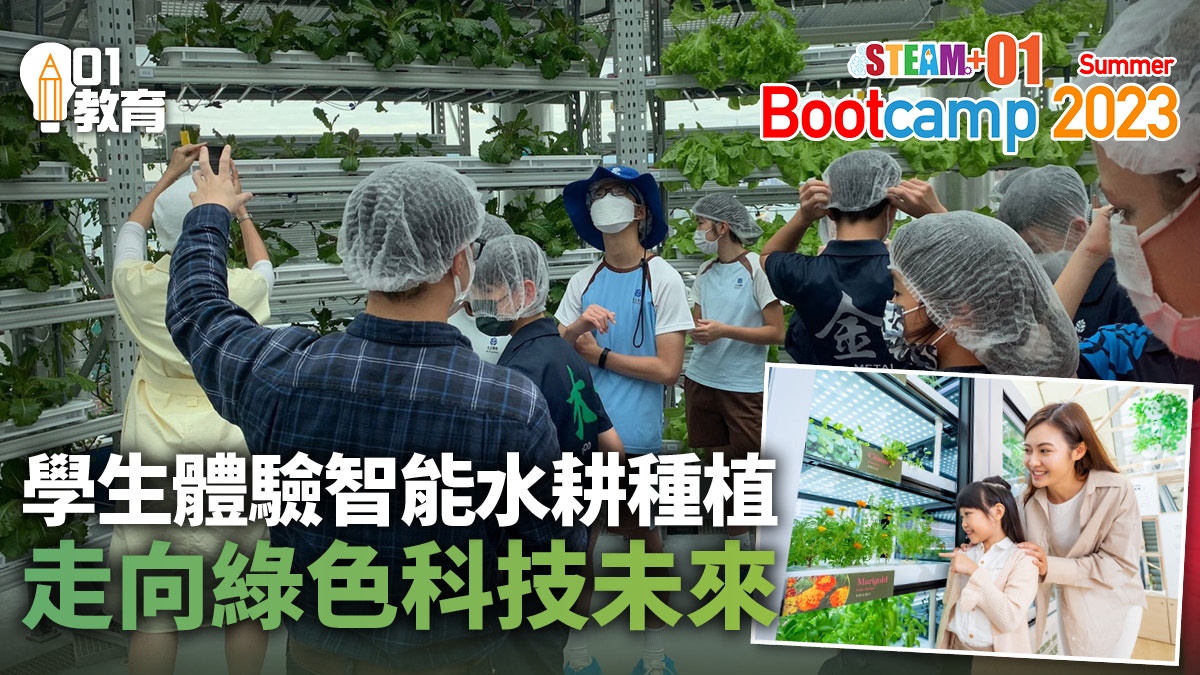 STEAM+01 BootCamp｜用科技「種出未來」 智能水耕節能增產