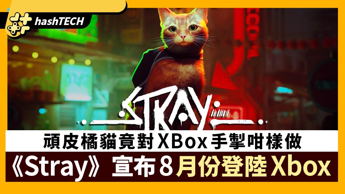 《Stray》宣布8月份登陸Xbox平台 頑皮橘貓竟對微軟手把這樣做！