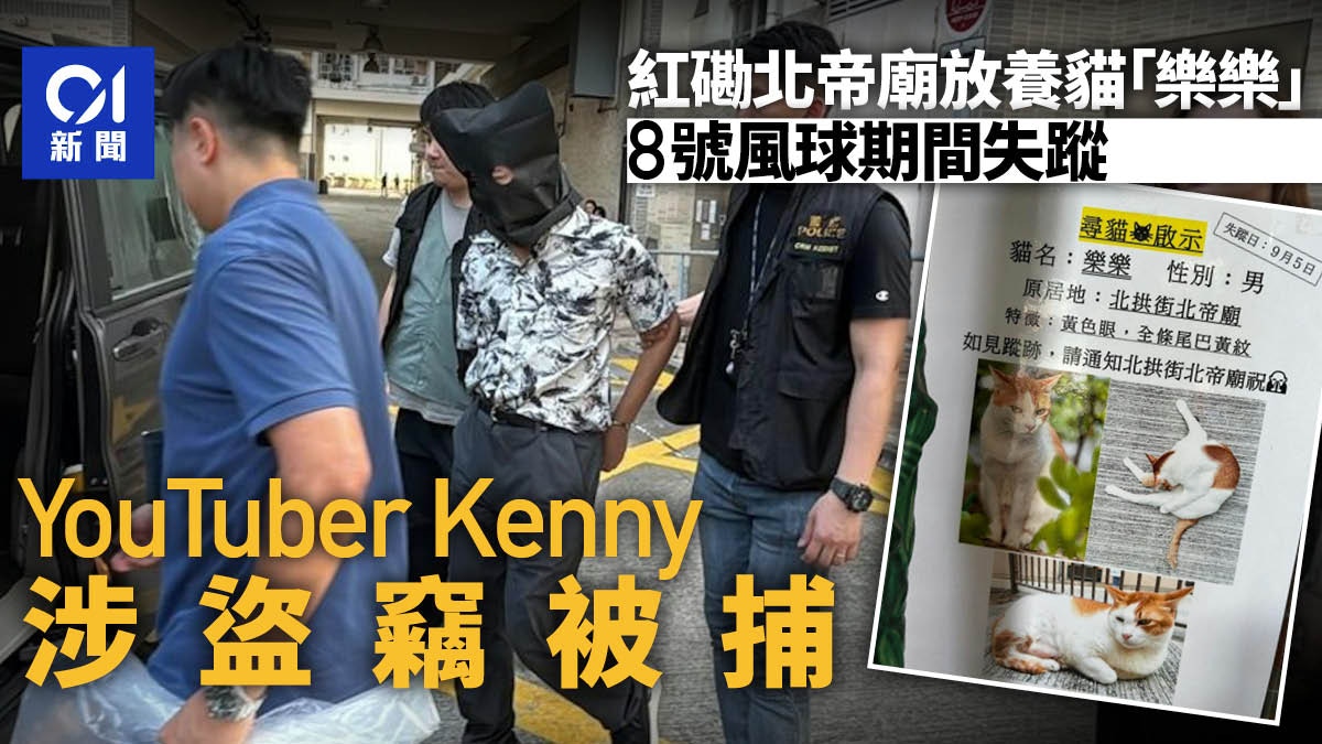 紅磡北帝廟放養貓樂樂8號風球失蹤 YouTuber Kenny涉盜竊被捕