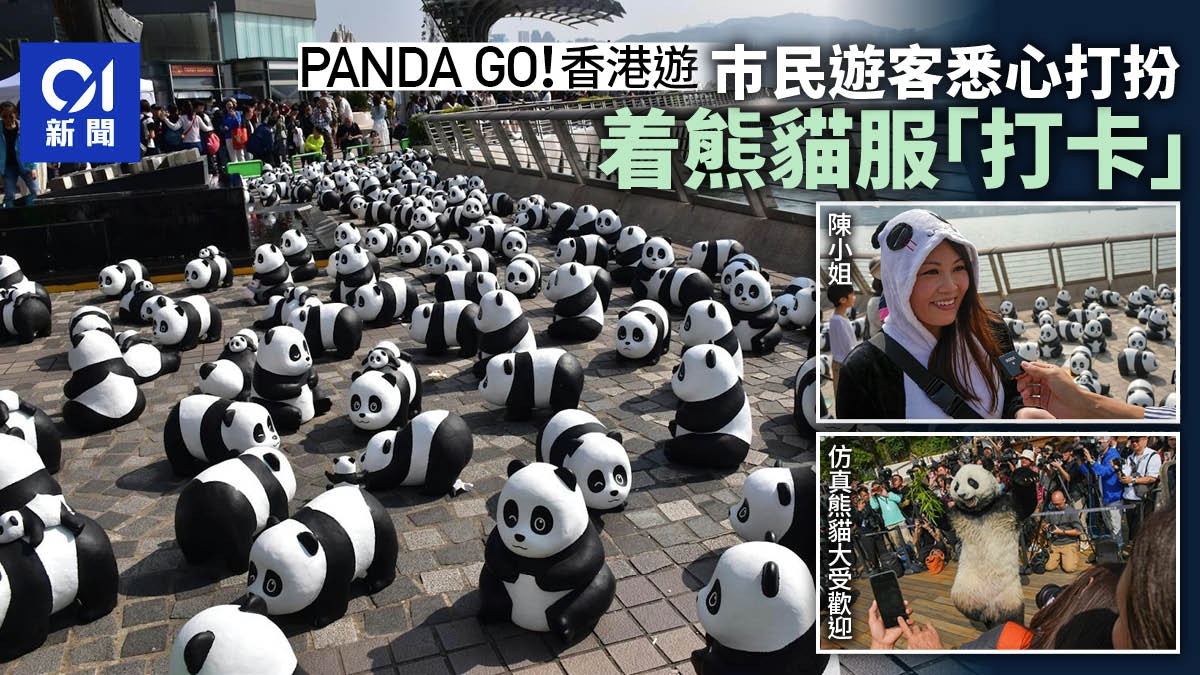 PANDA GO香港遊｜市民旅客悉心打扮成熊貓 與2500隻熊貓雕塑打卡