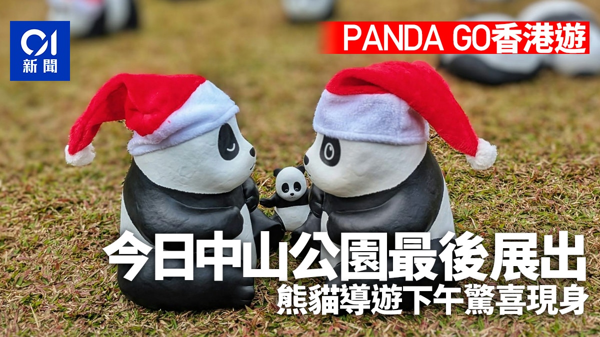 PANDA GO香港遊｜今日中山公園最後展出 熊貓導遊下午將驚喜現身