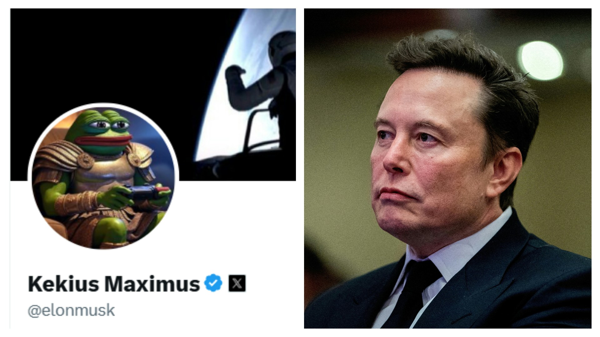 新年2025｜Elon Musk為社交賬號改名 突換Pepe the Frog做頭像