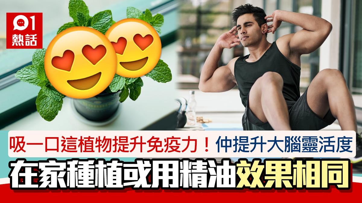 吸一口這植物提升記憶力！醫生指對大腦好處多 抗發炎、增免疫力